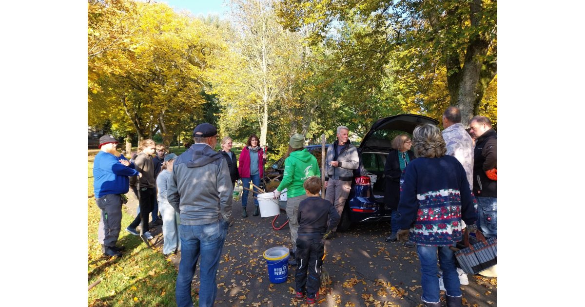 Pflanzaktion des Heimatvereins Reinsfeld war erfolgreich ...